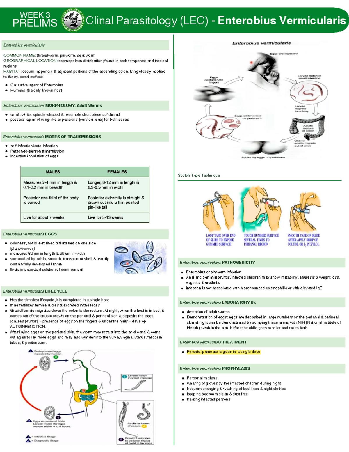 PARA LEC WEEK 3 - Lec Notes - Clinal Parasitology (LEC) - Enterobius ...