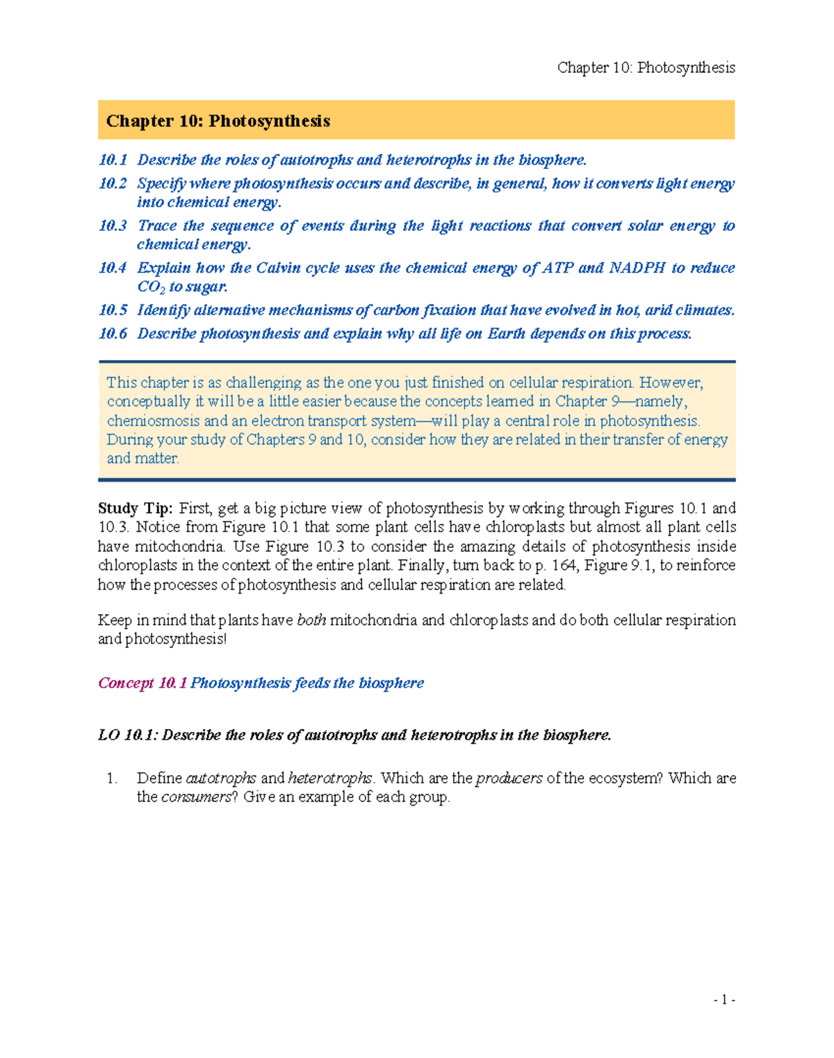 Active Reading Notes 10 Short - Chapter 10: Photosynthesis 10 Describe ...