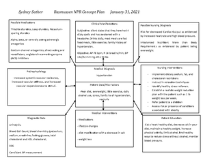 Module 06 Worksheet Development Assignment - Module 06 Worksheet ...