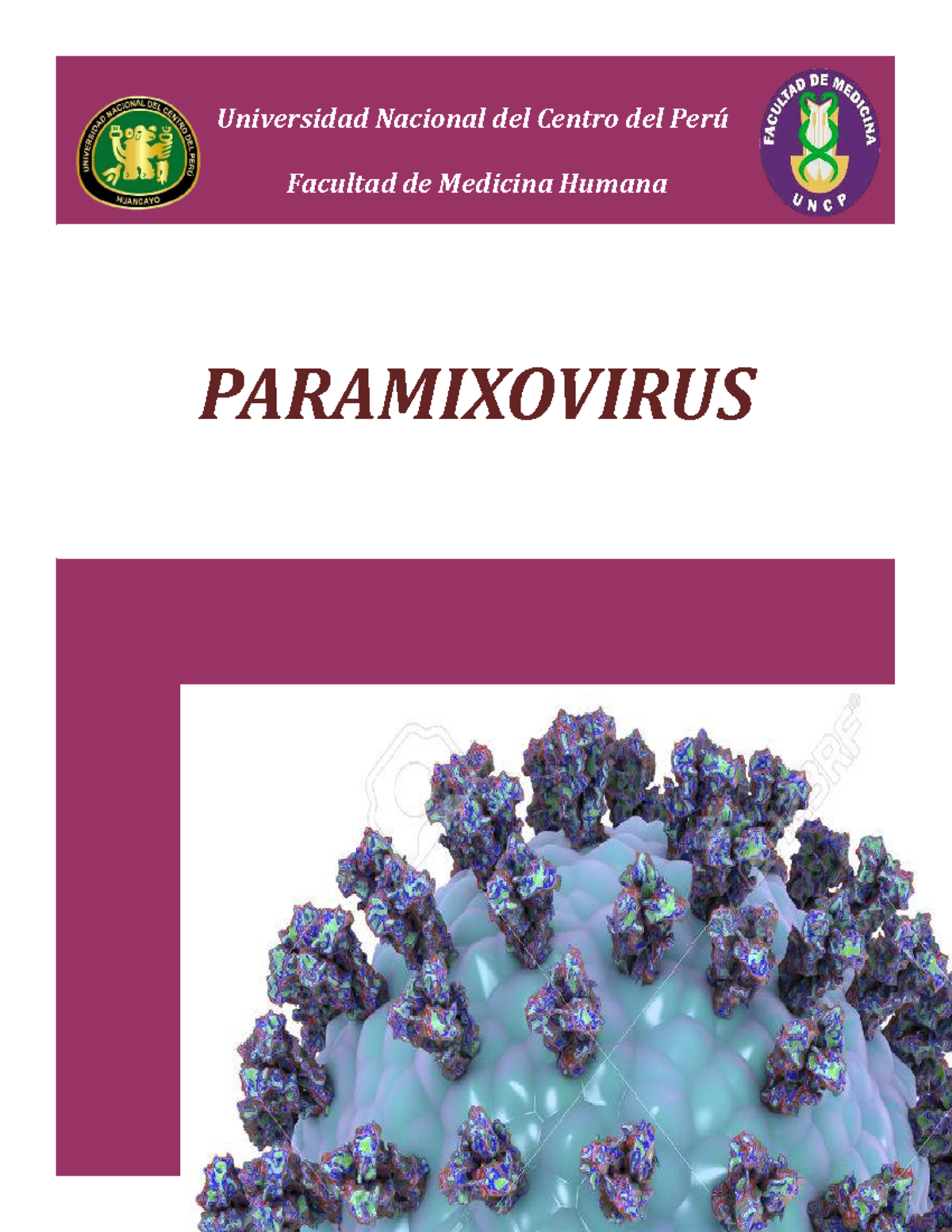 Paramixovirus-final - Son virus ARN de sentido negativo; siendo uno de ...