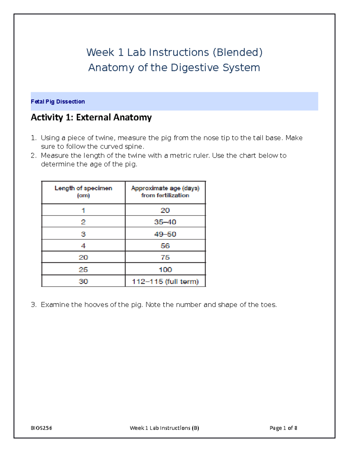 Anatomy of the Digestive System Fetal Pig Dissection Lab - Studocu