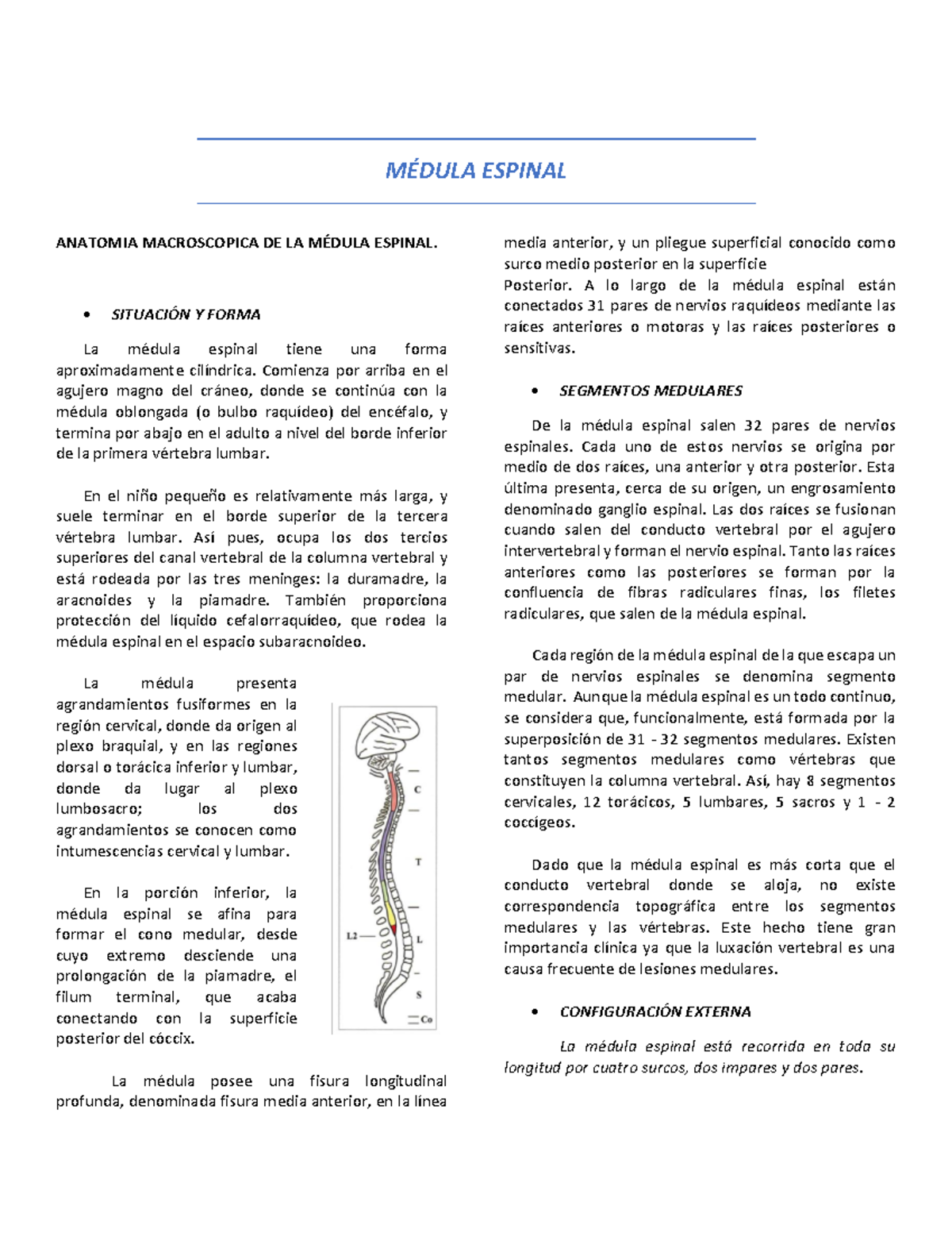Médula Espinal - Seminario - MÉDULA ESPINAL ANATOMIA MACROSCOPICA DE LA ...