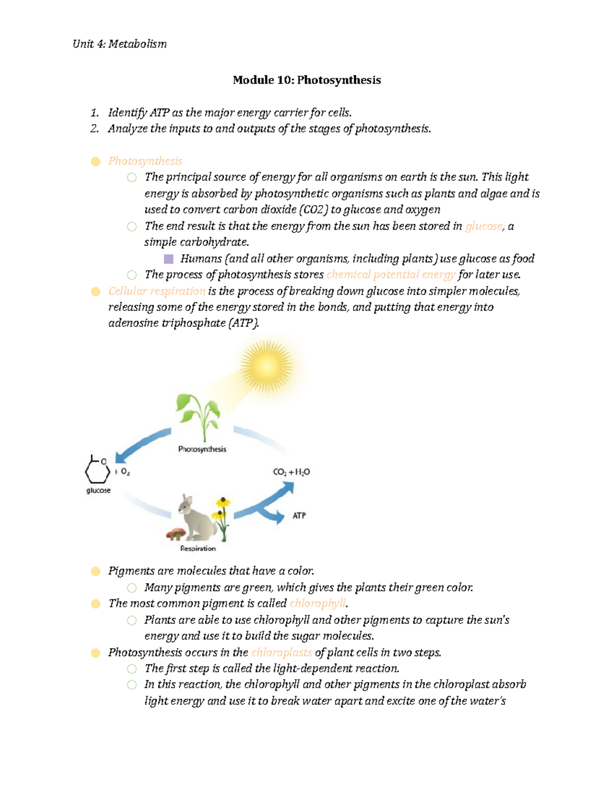 Unit 4 Metabolism - 17 - notes - Module 10: Photosynthesis Identify ATP ...