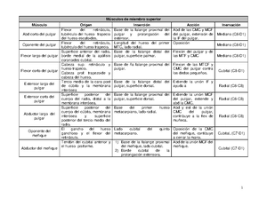 Protocolo enfermera 1 - knknkijmiwsejcxijciece - DETERIO COGNITIVO EN ...