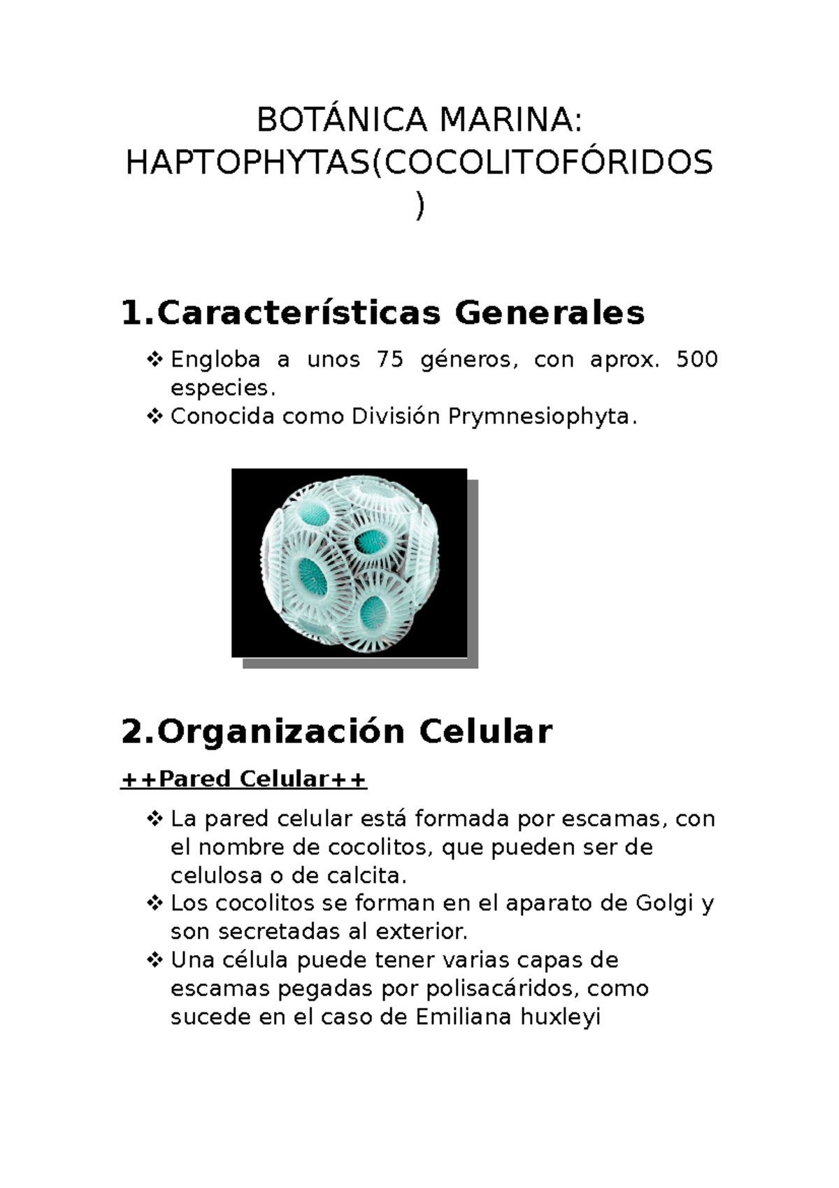 Haptophytas - TEORÍA - BOTÁNICA MARINA: HAPTOPHYTAS(COCOLITOFÓRIDOS ...