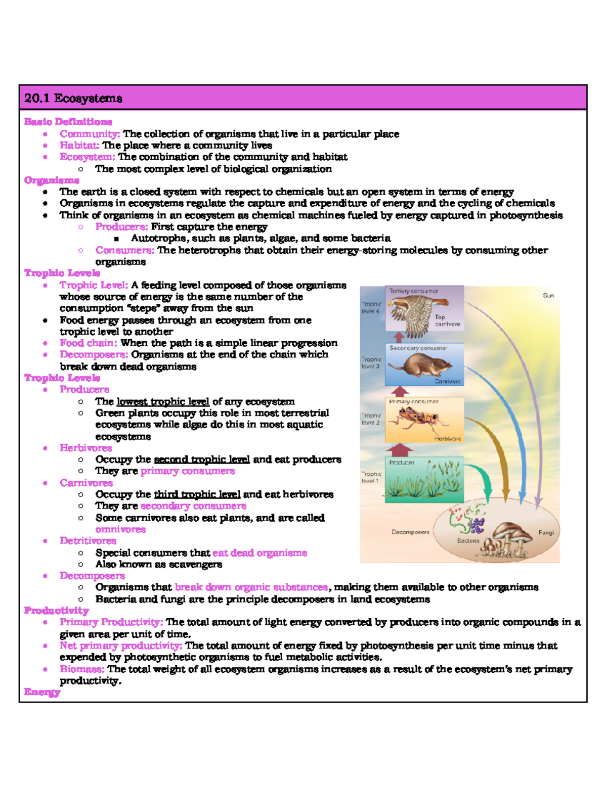 BIOL 100 Chapter 20 Notes - Ecosystems - 20 Ecosystems Basic ...
