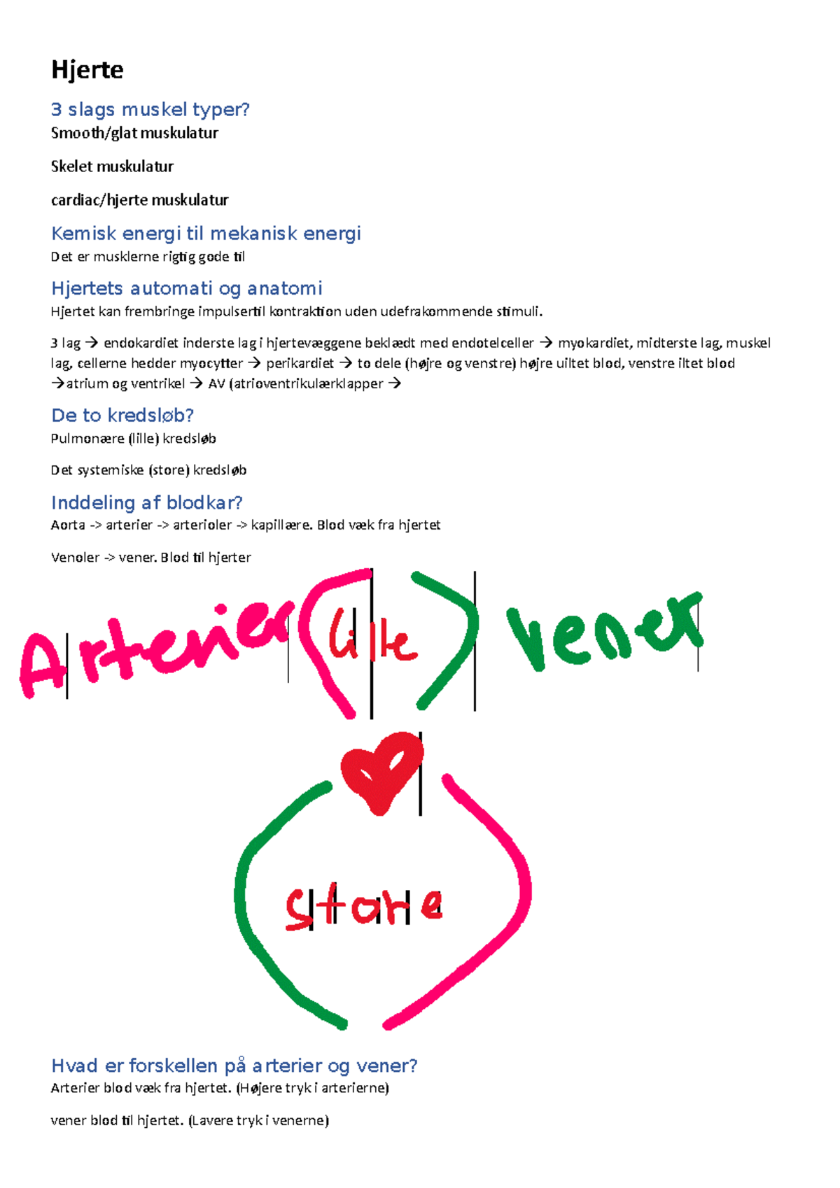 1. (2) Hjerte og kredsløb - Hjerte 3 slags muskel typer? Smooth/glat ...