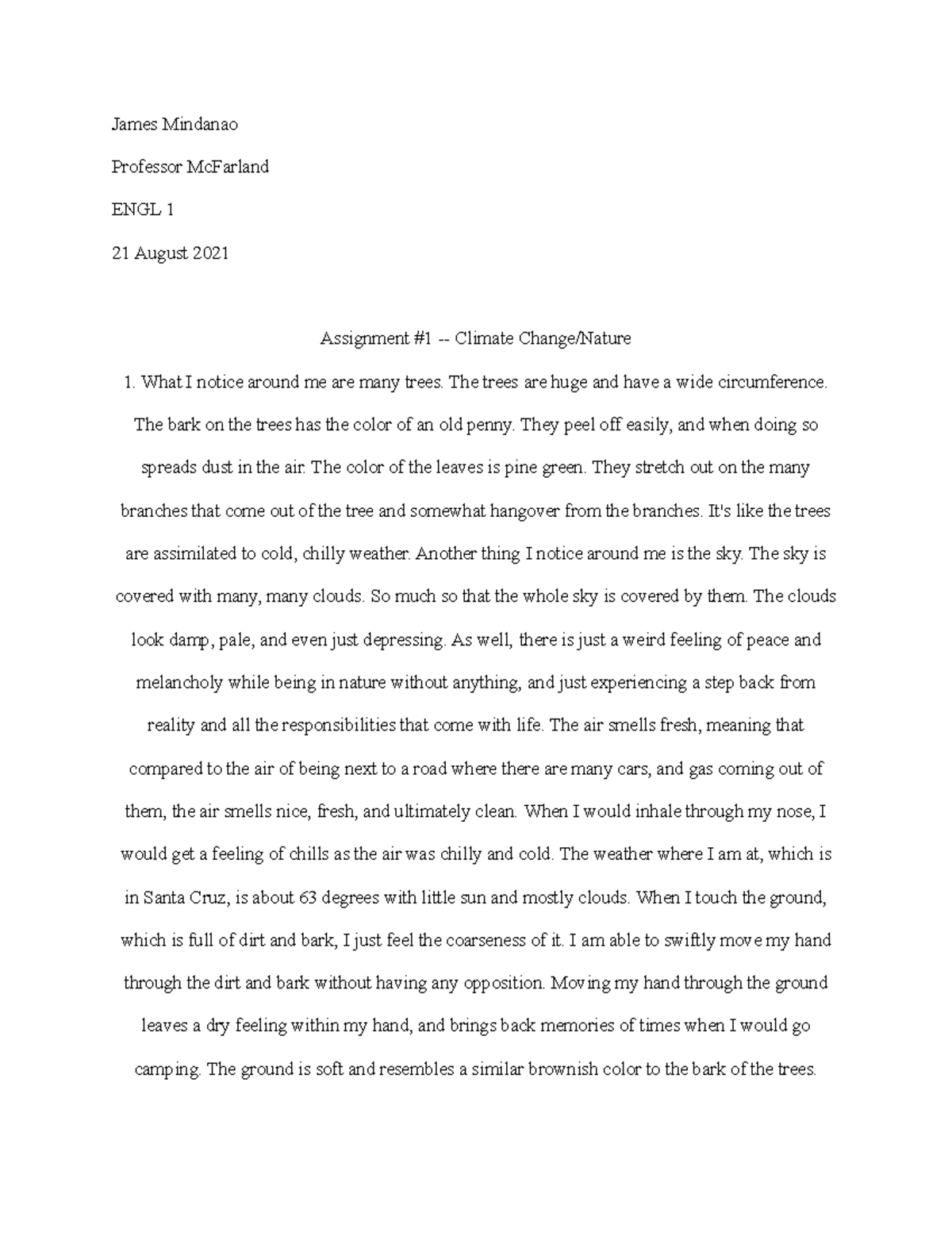 ENGL 1 Assignment #1 - Basic English Coursework - James Mindanao ...