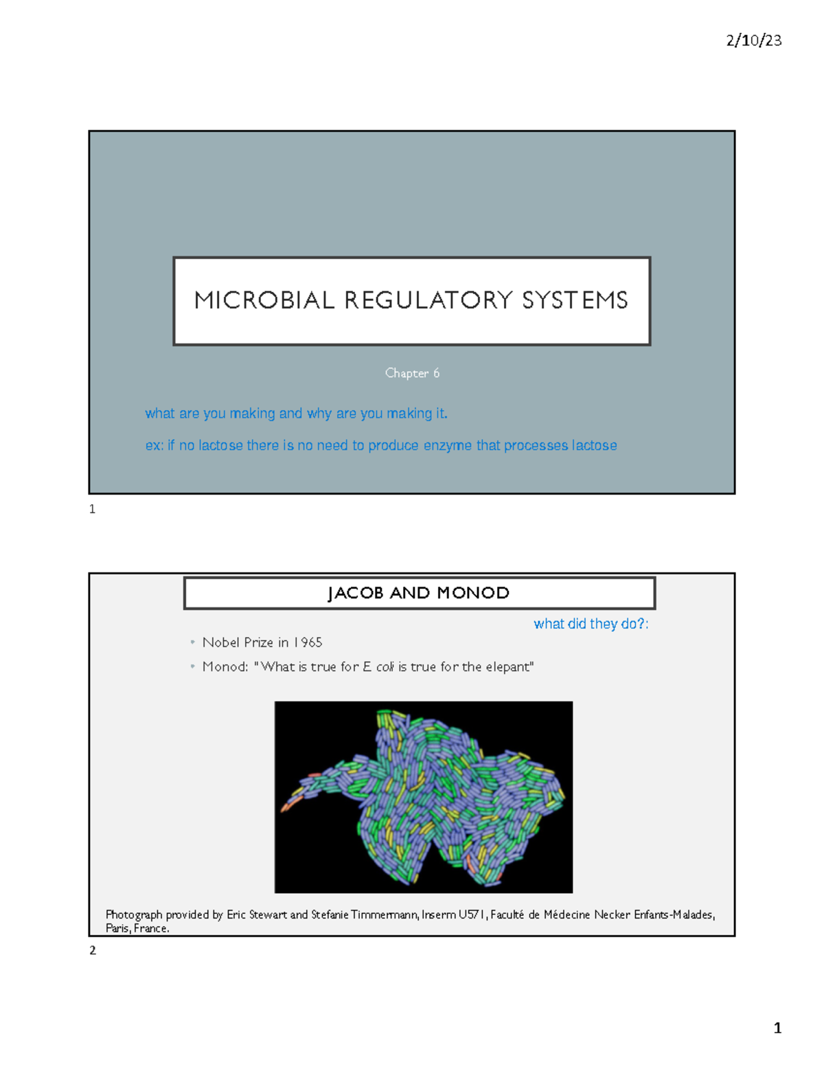 Module 5 SP23 first lecture - MICROBIAL REGULATORY SYSTEMS Chapter 6 1 ...