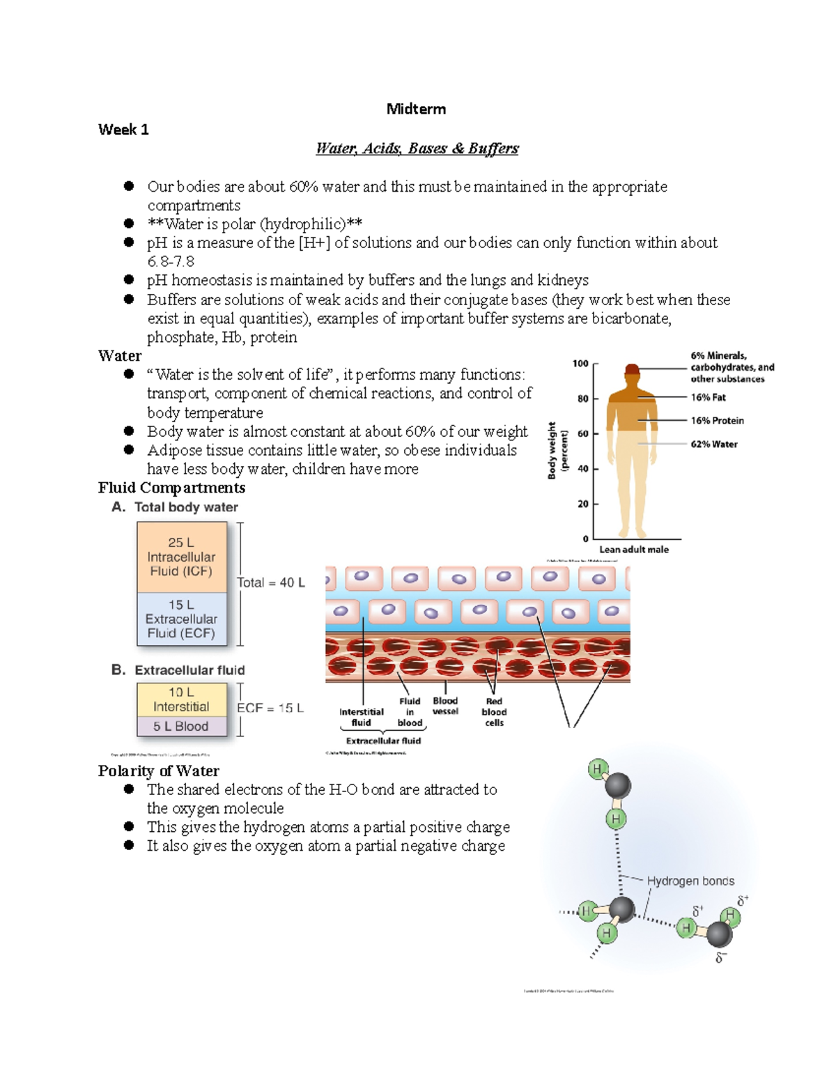 Midterm biochem notes - Midterm Week 1 Water, Acids, Bases & Buffers ...