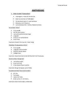 Reptile Concept Maps - Crocodilians General o Elongated body with ...