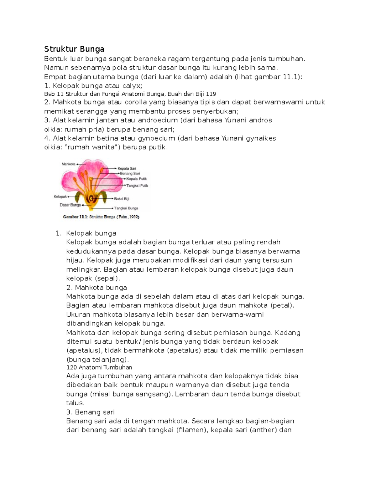Struktur Bunga - catatan - Struktur Bunga Bentuk luar bunga sangat beraneka ragam tergantung ...