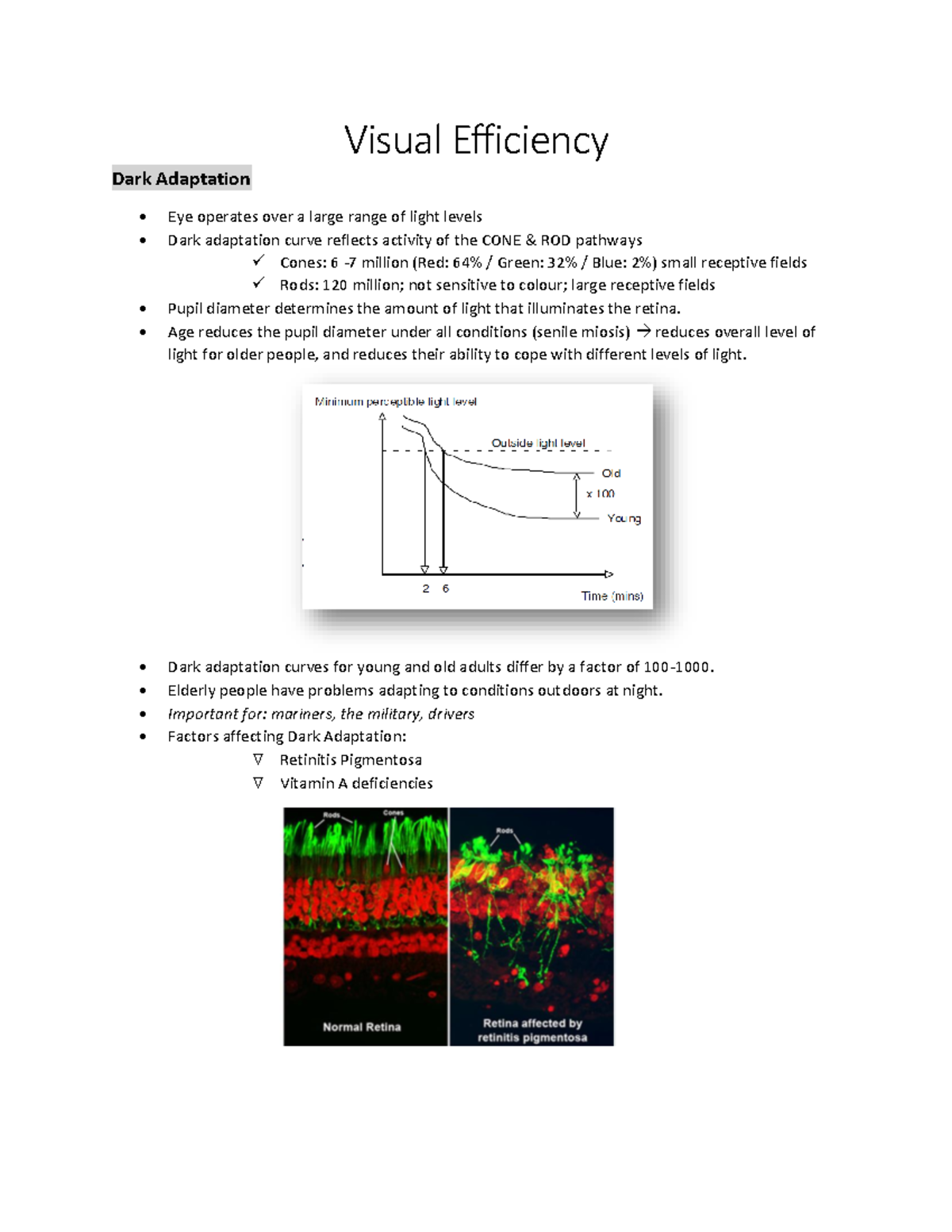 Visual Efficiency Notes - Visual Efficiency Dark Adaptation Eye ...