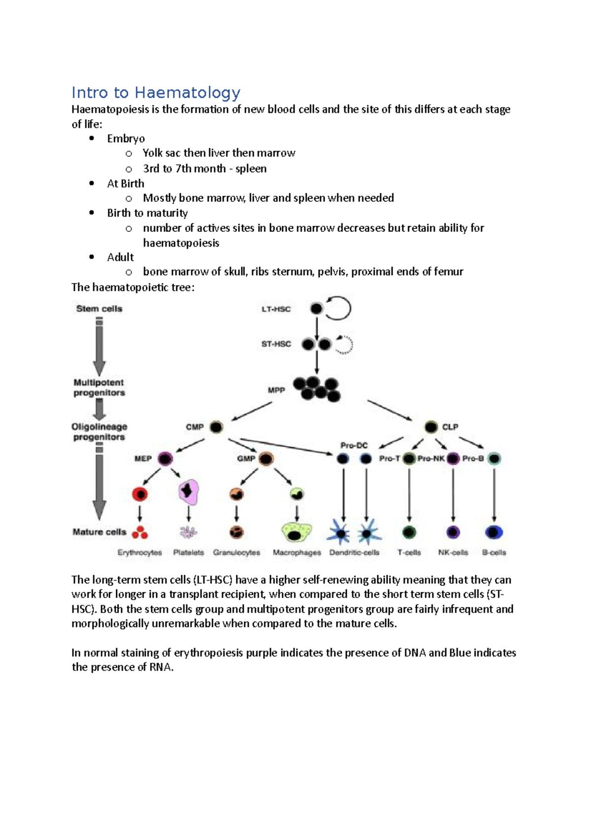 Intro to Haematology - Intro to Haematology Haematopoiesis is the ...