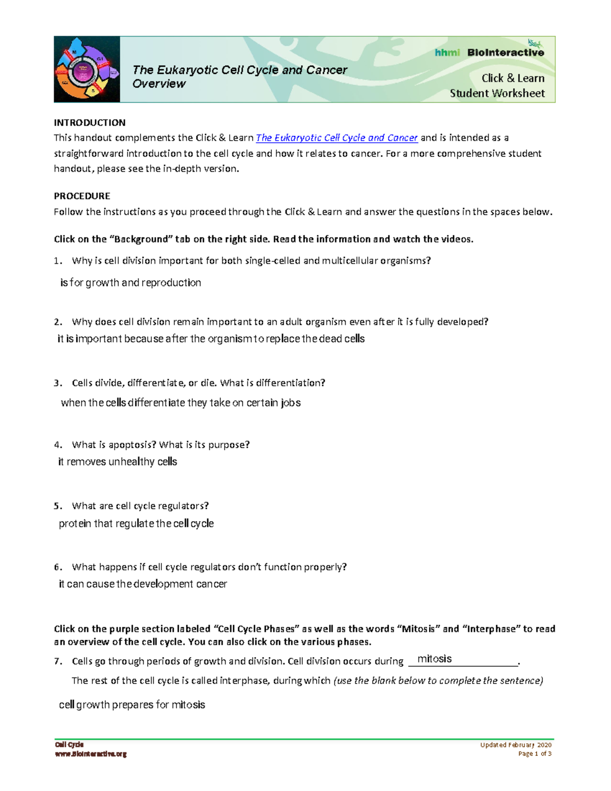 Kami Export - David Dukaj - Cell Cycle Overview-Student WS-CL - Click ...