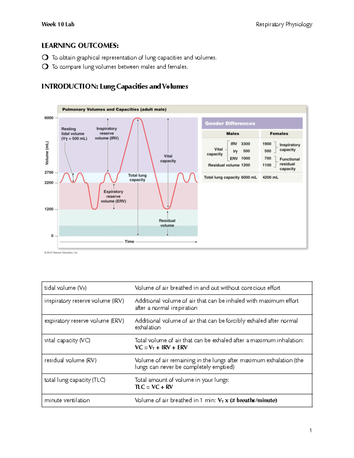 Lab 10 - Respiratory Physiology - Week 10 Lab Respiratory Physiology ...