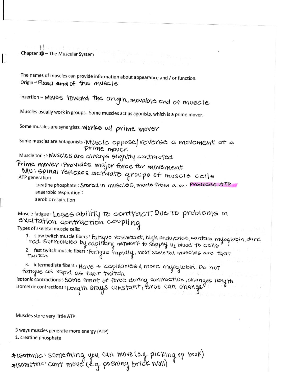 IMG 20230307 0005 - notes for exam 3 - I rl Chapter $ - The Muscular ...
