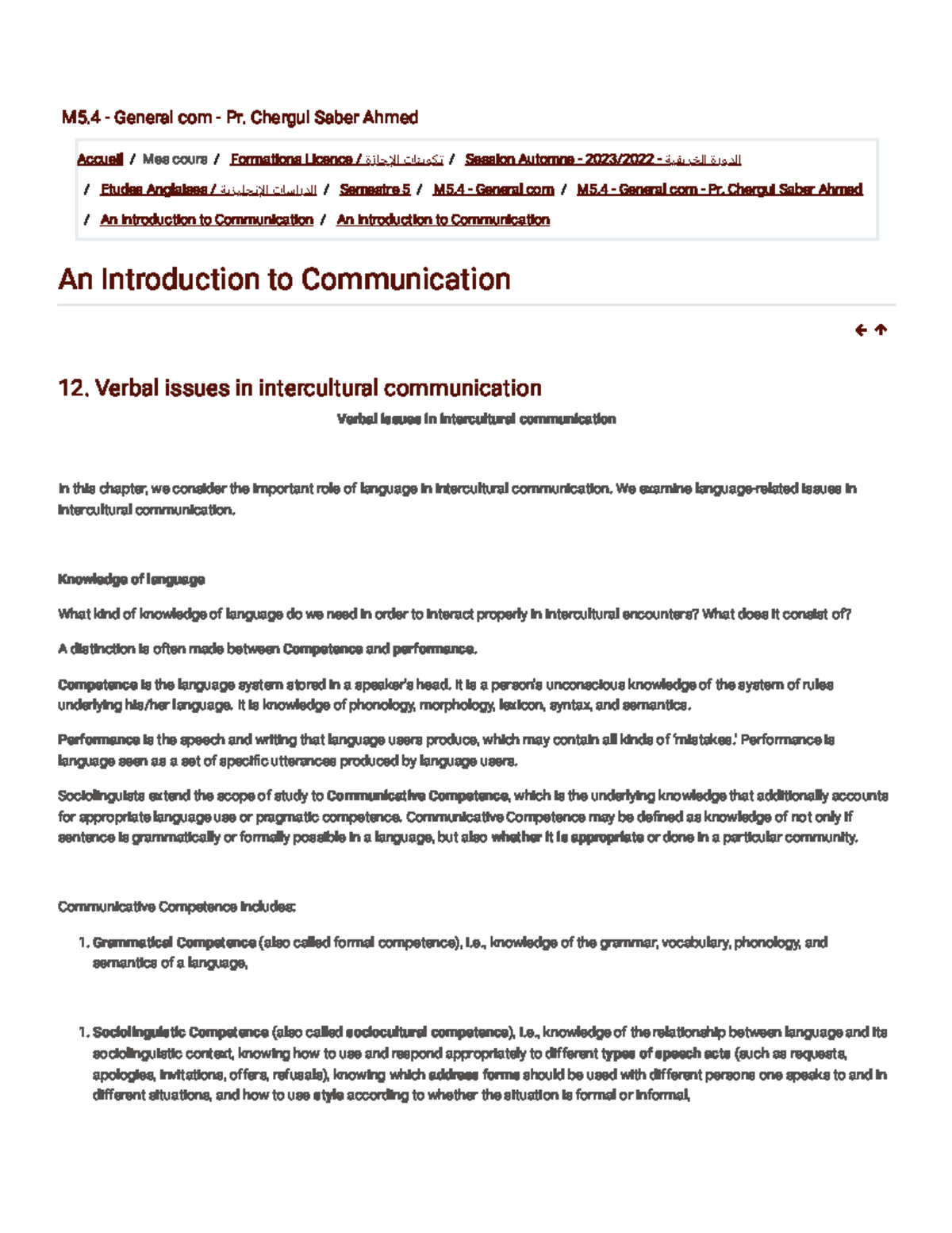 An Introduction to Communication Verbal issues in intercultural ...