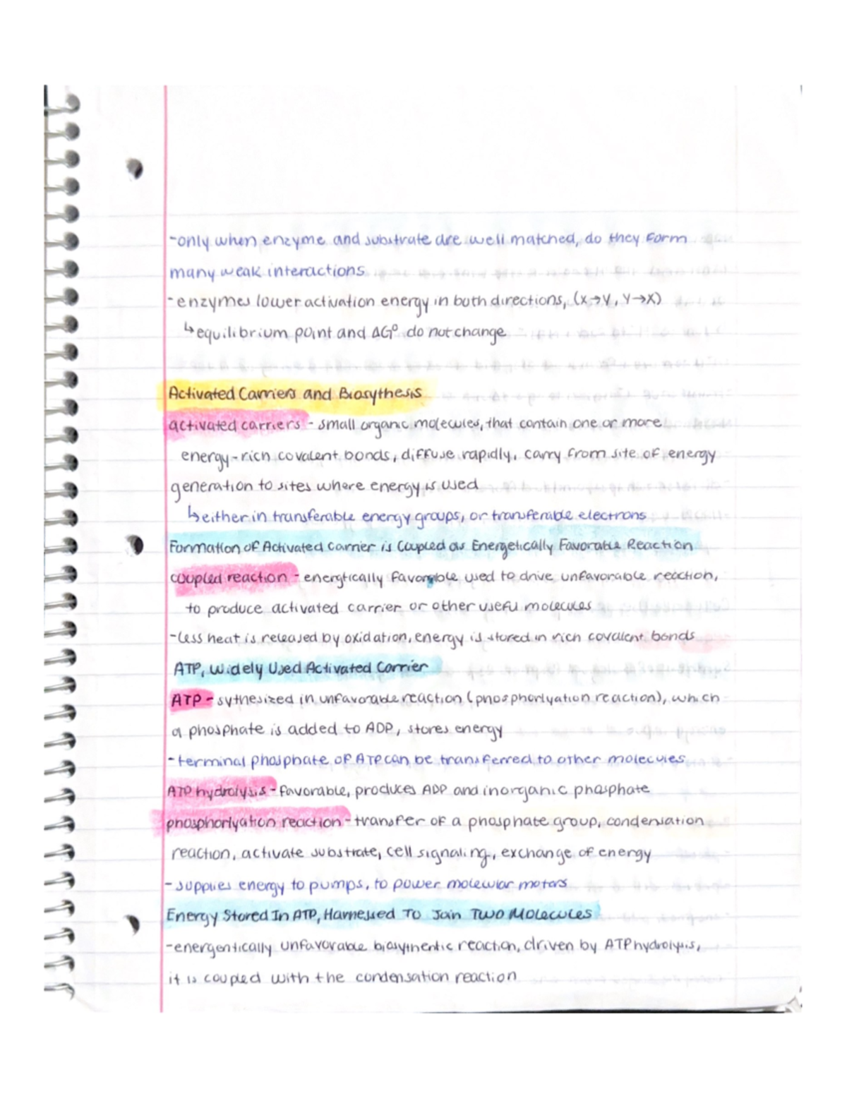 Cell Biology - Notes 2 - BB 2550 - Studocu