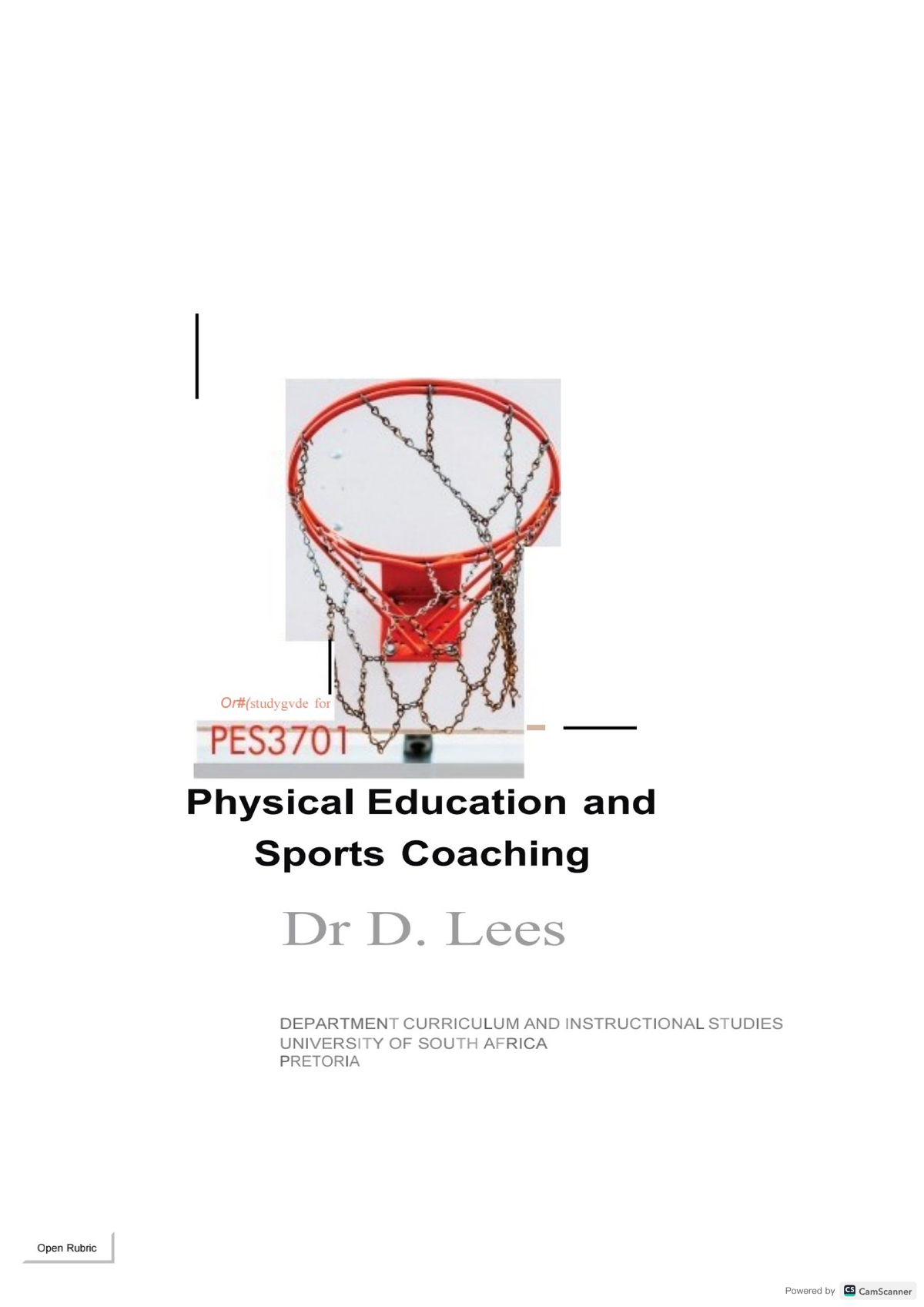 PES3701 - Study guide - PES3701 - Studocu