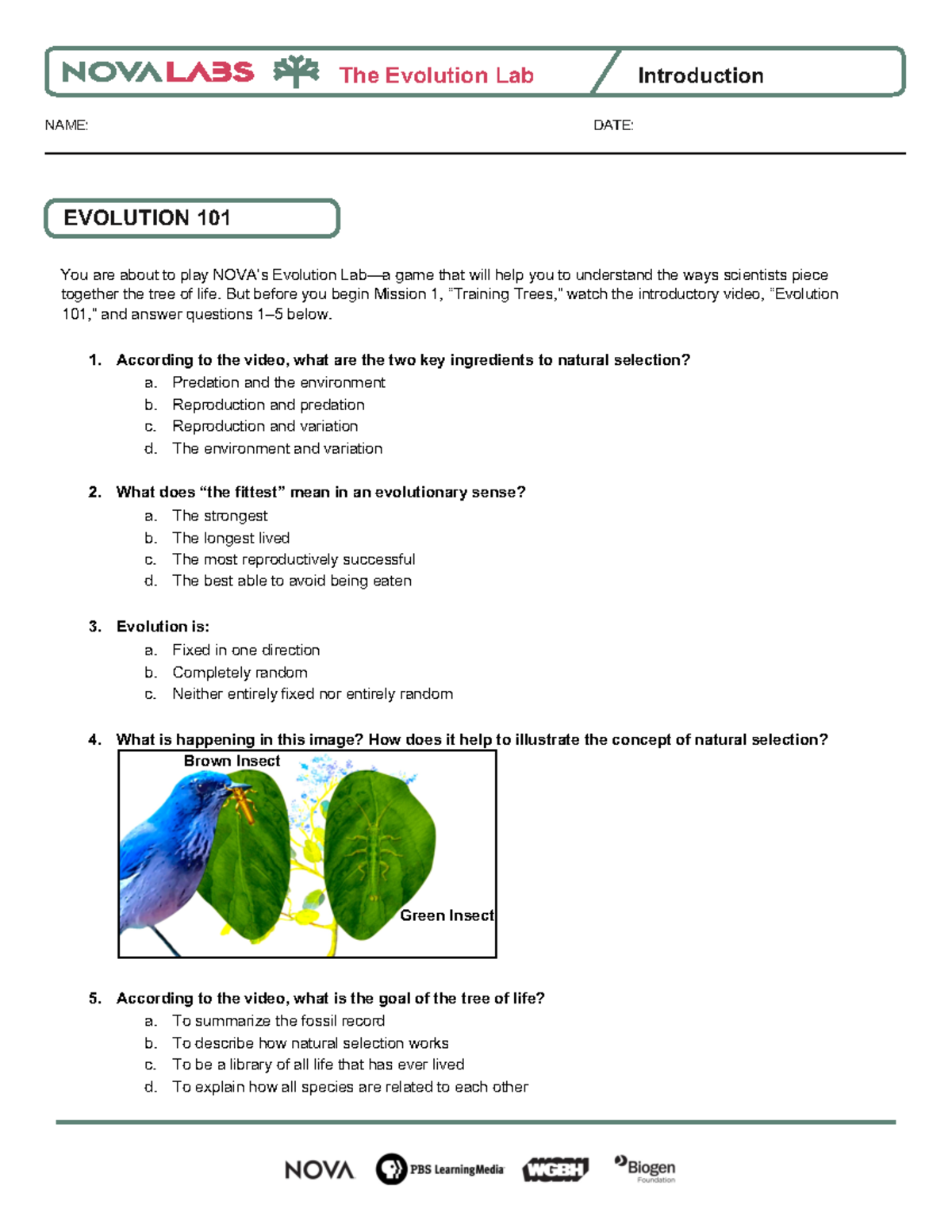 NOVA Evolution Lab Honors Spring 2021-1 - The Evolution Lab ...
