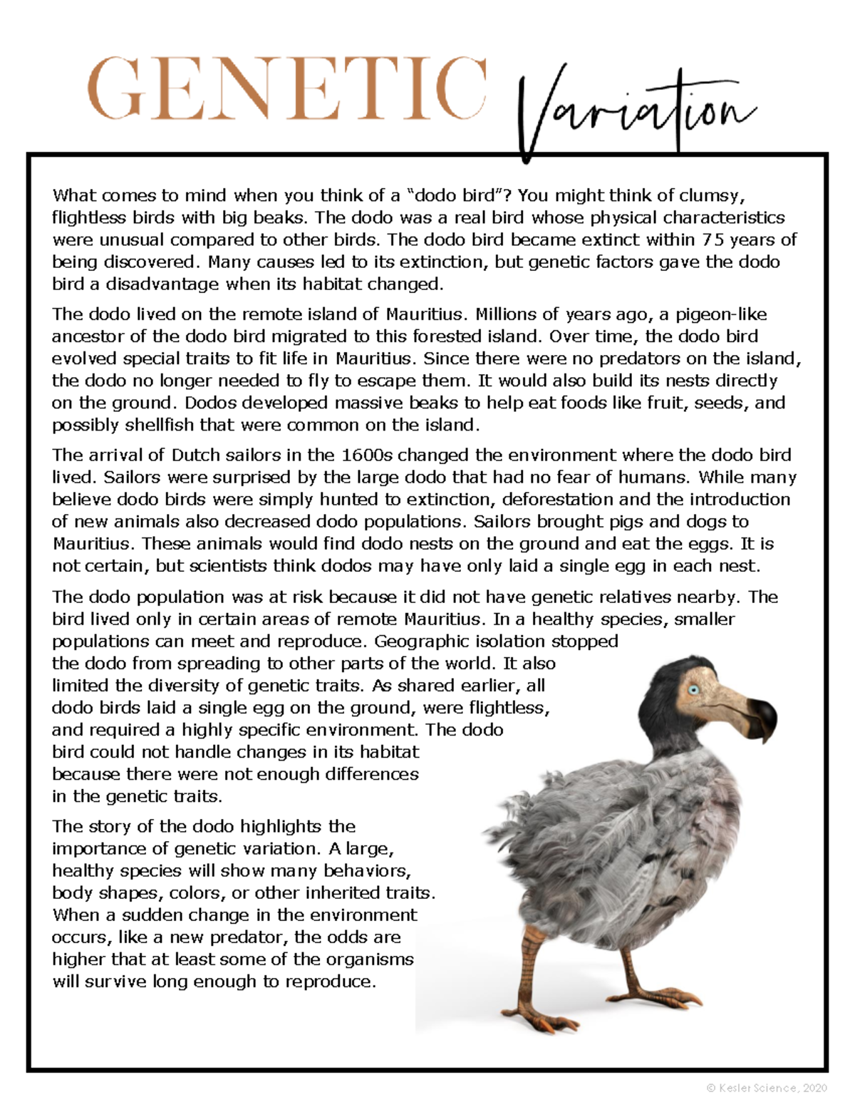 Kami Export - Jaxson Mc Brier - Trammell Genetic Variation reading ...