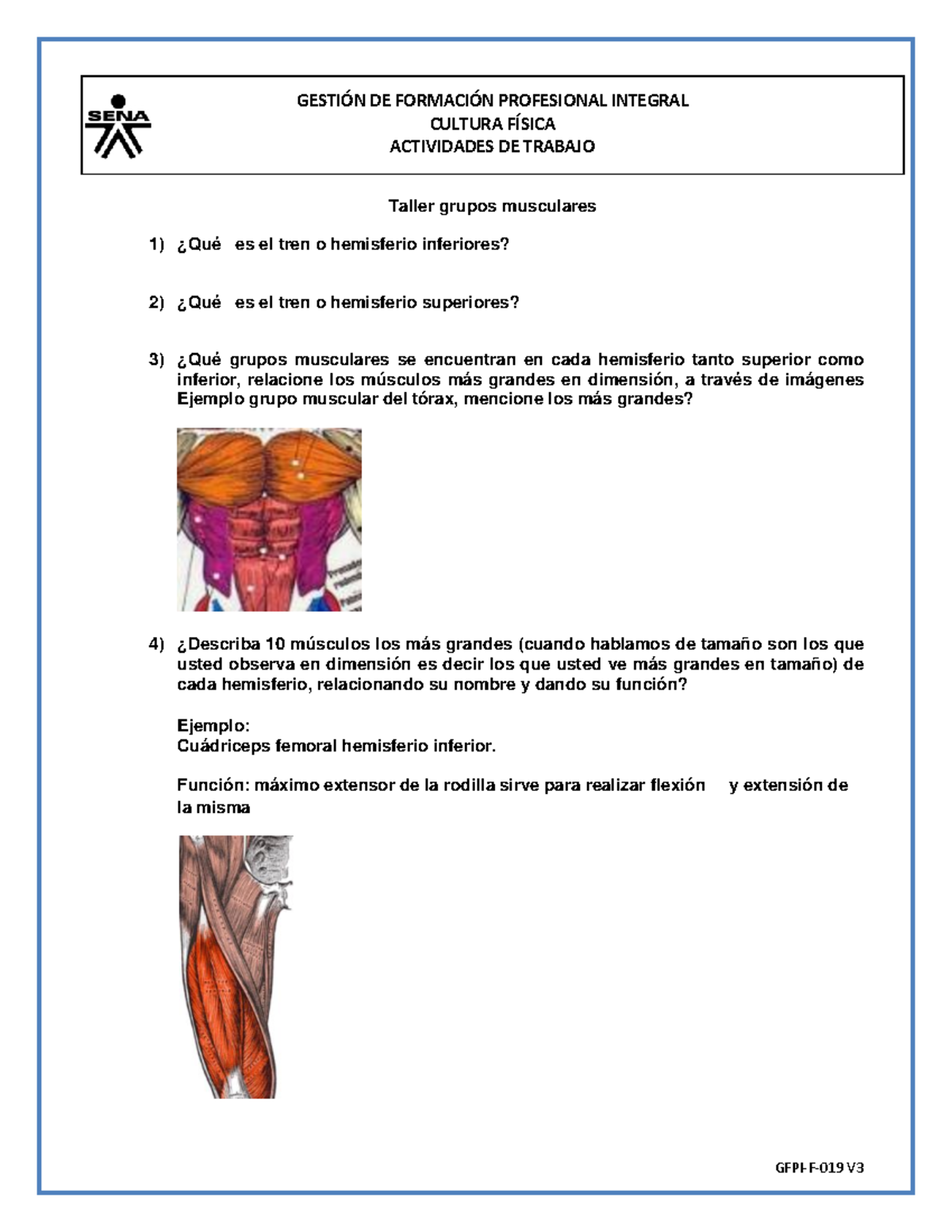 Taller Hemisferios - GESTI”N DE FORMACI”N PROFESIONAL INTEGRAL CULTURA FÕSICA ACTIVIDADES DE ...