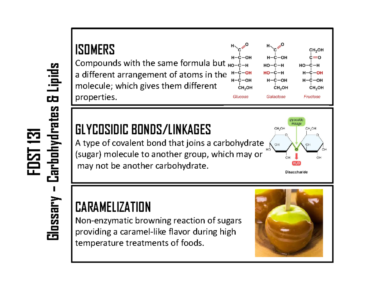 All Vocabulary Words - Carbohydrates and Lipids - ISOMERS Compounds ...