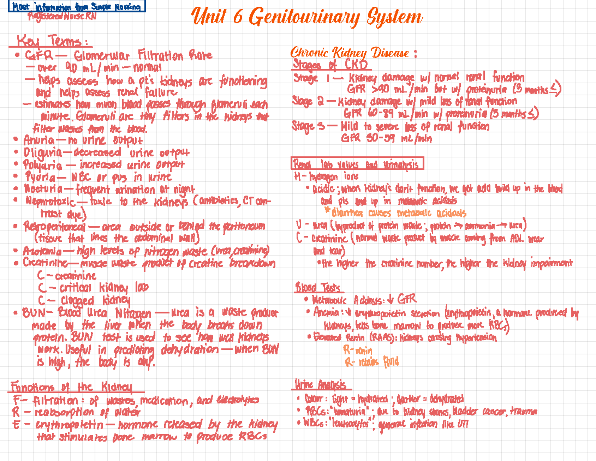 CNUR 204 UNIT 6 GU System - Uni . 6 Genitourinar System Chroni Kidne ...