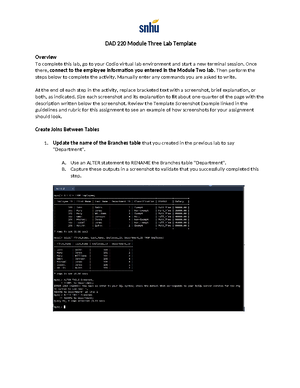 5-3 Major Activity - Isabel Jones - DAD 220 Module Five Major Activity ...