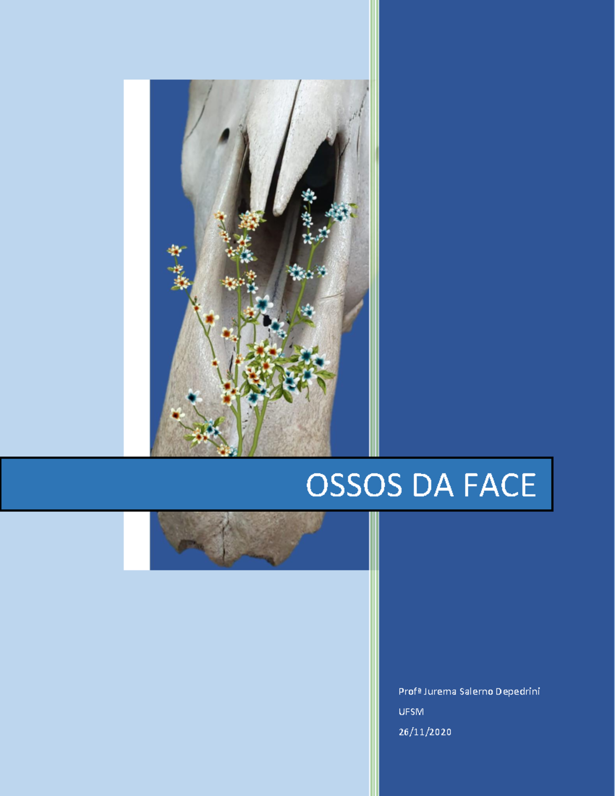 Roteiro ossos da face - Prof™ Jurema Salerno Depedrini UFSM 26/11 ...