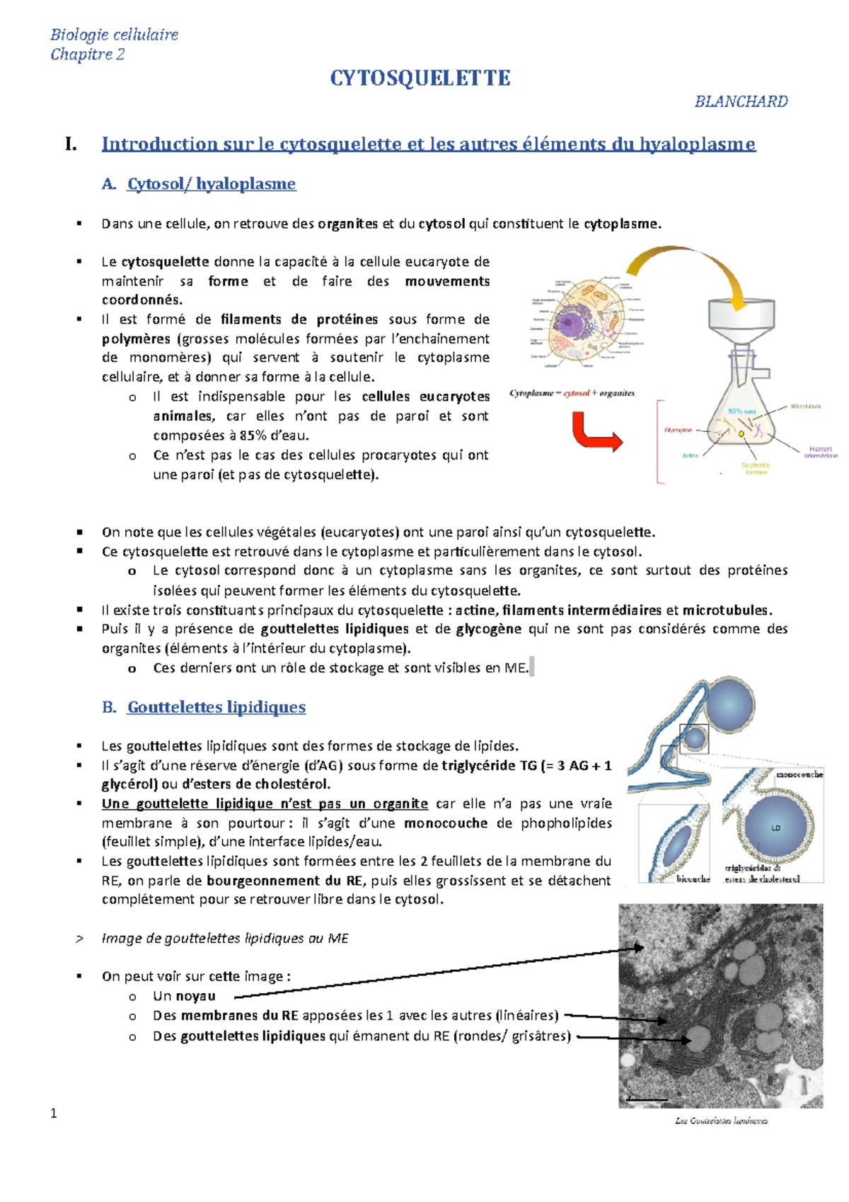 Cours 2. Cytosquelette - Biologie cellulaire Chapitre 2 CYTOSQUELETTE ...