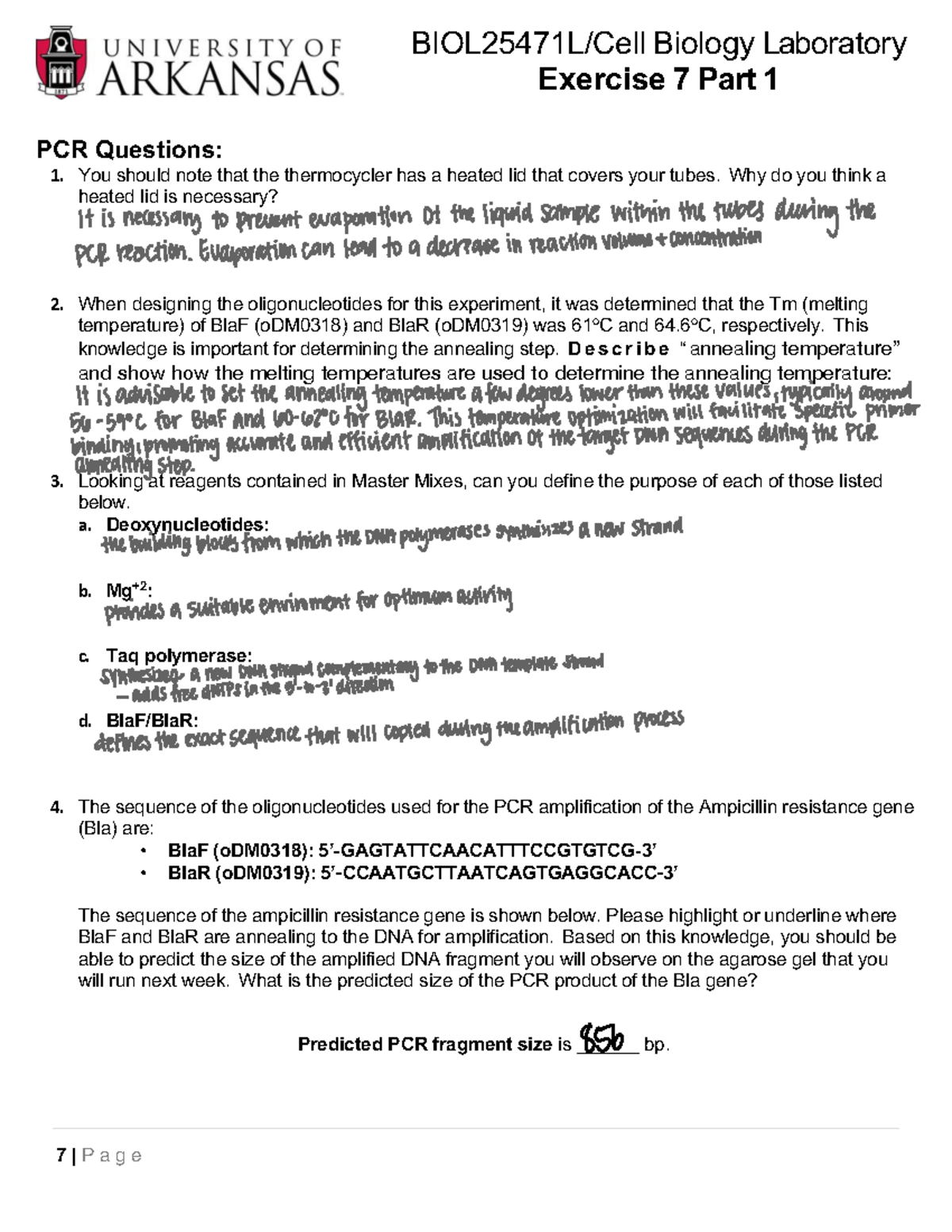Lab Exercise 7 part 1 & 2 - Exercise 7 Part 1 PCR Questions: 1. You should note that the - Studocu