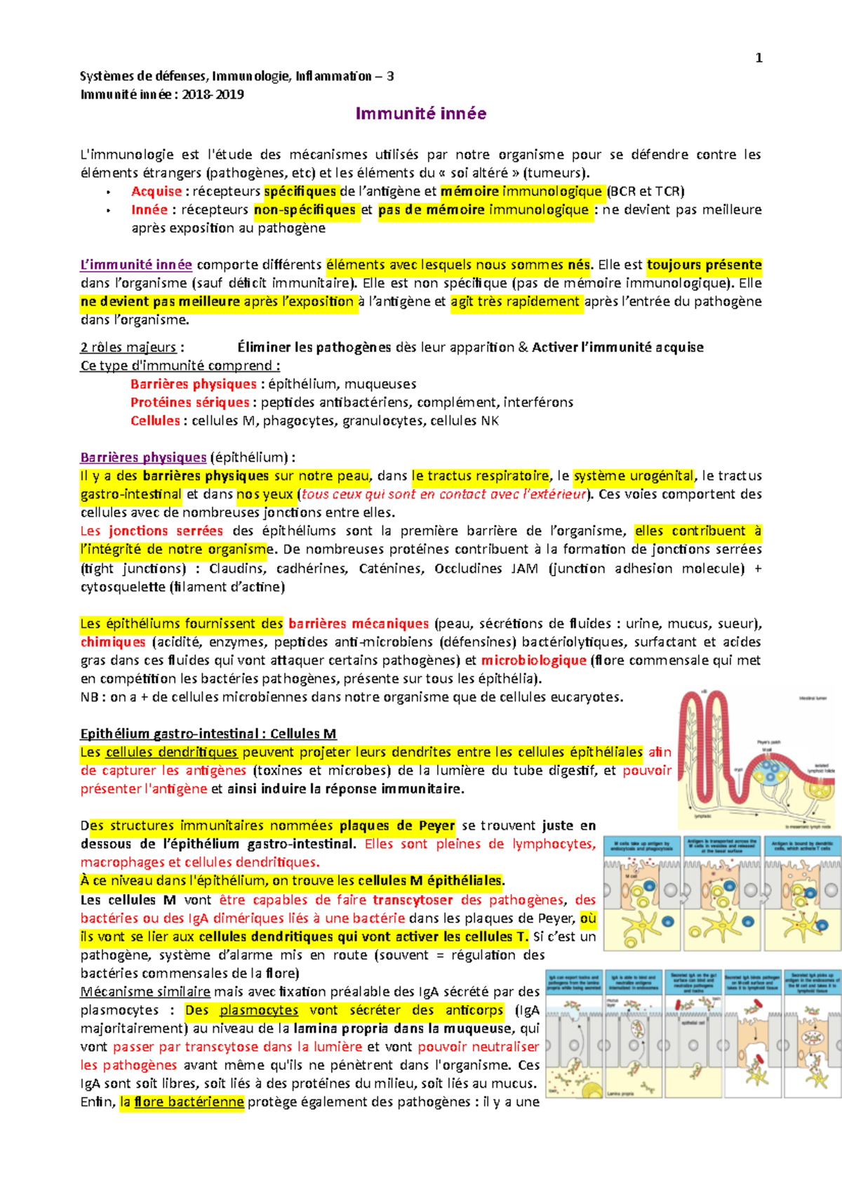 3. Immunité innée - Warning: TT: undefined function: 32 Systèmes de défenses, Immunologie, - Studocu