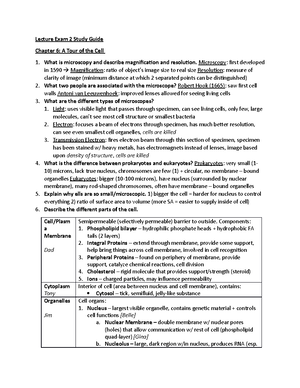 Biology Lecture Exam 5 Study Guide - 3 billion yrs. ago What are some ...