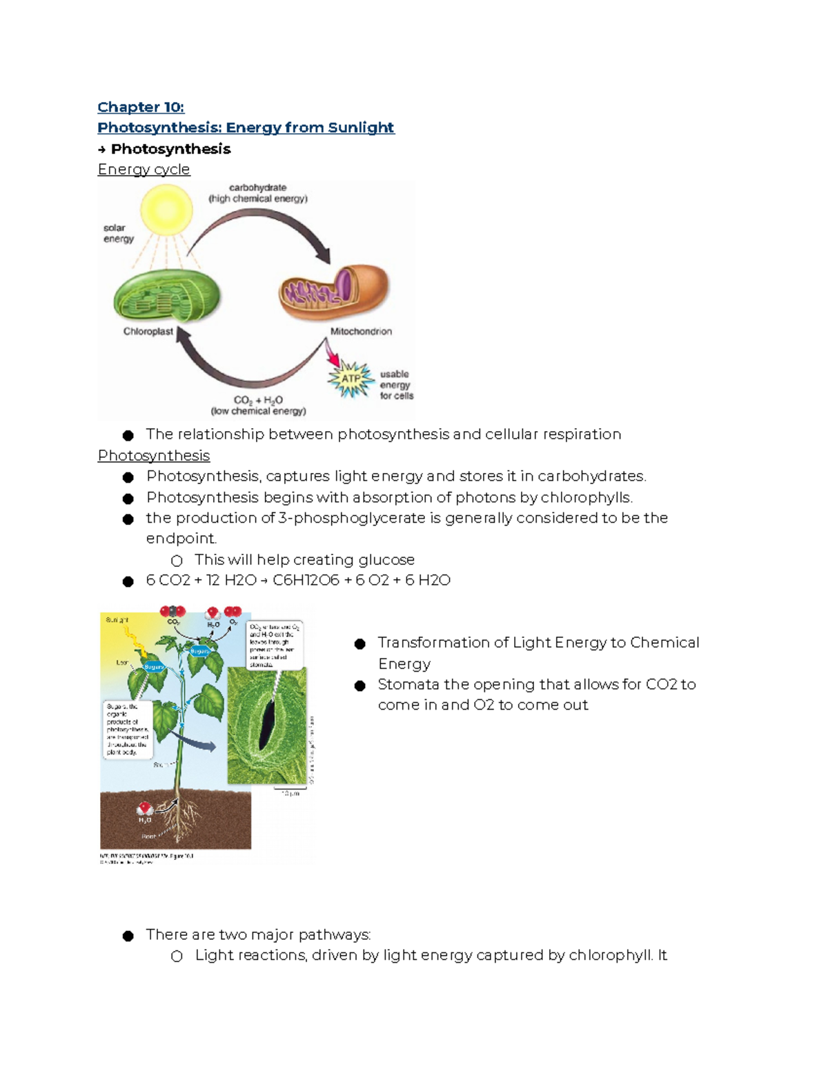 Lecture notes chapter 10 - Chapter 10: Photosynthesis: Energy from ...