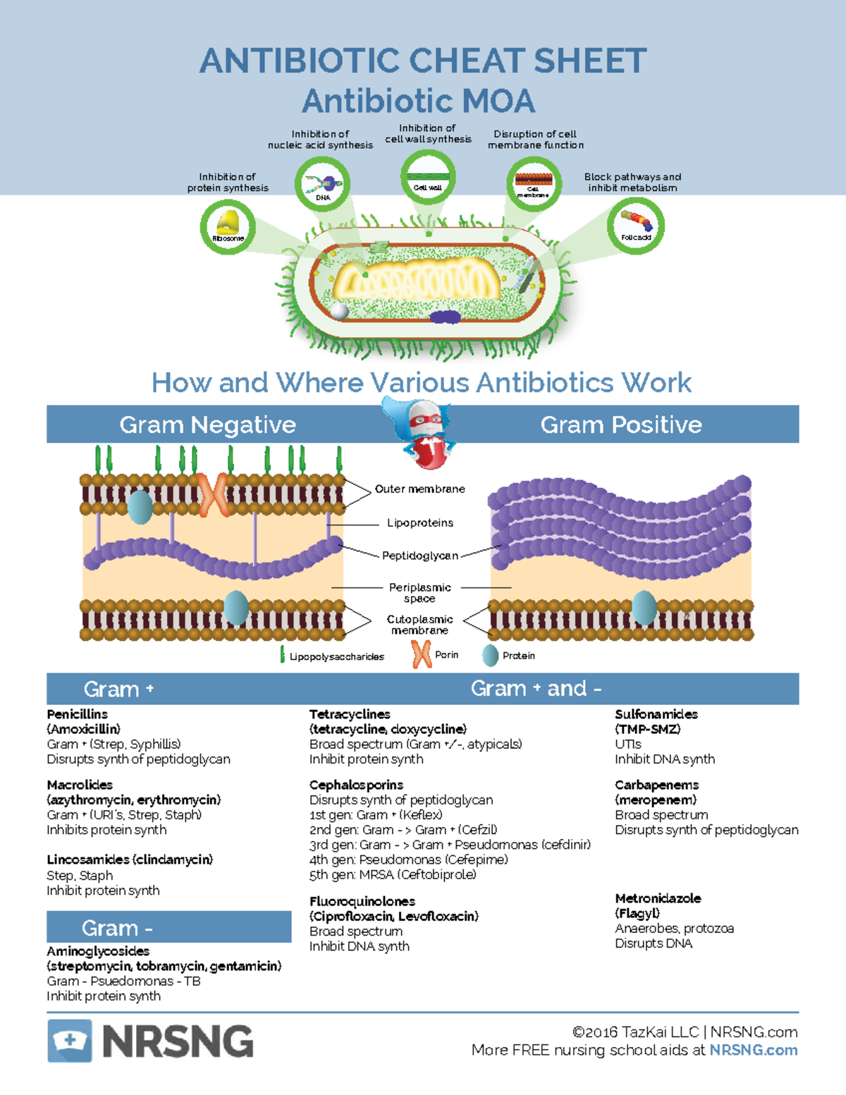 Antibiotic Cheat Sheet to Help Memorize the Essentials for the NCLEX ...