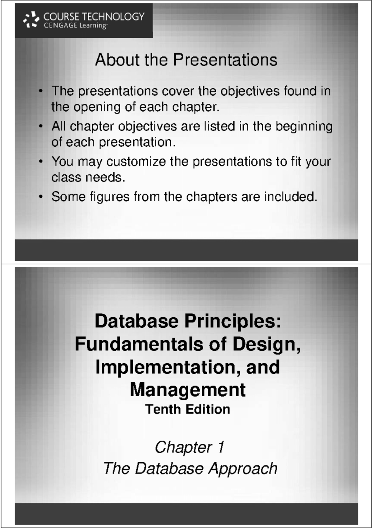 Database Principles Fundamentals of Desi - About the PresentationsAbout ...