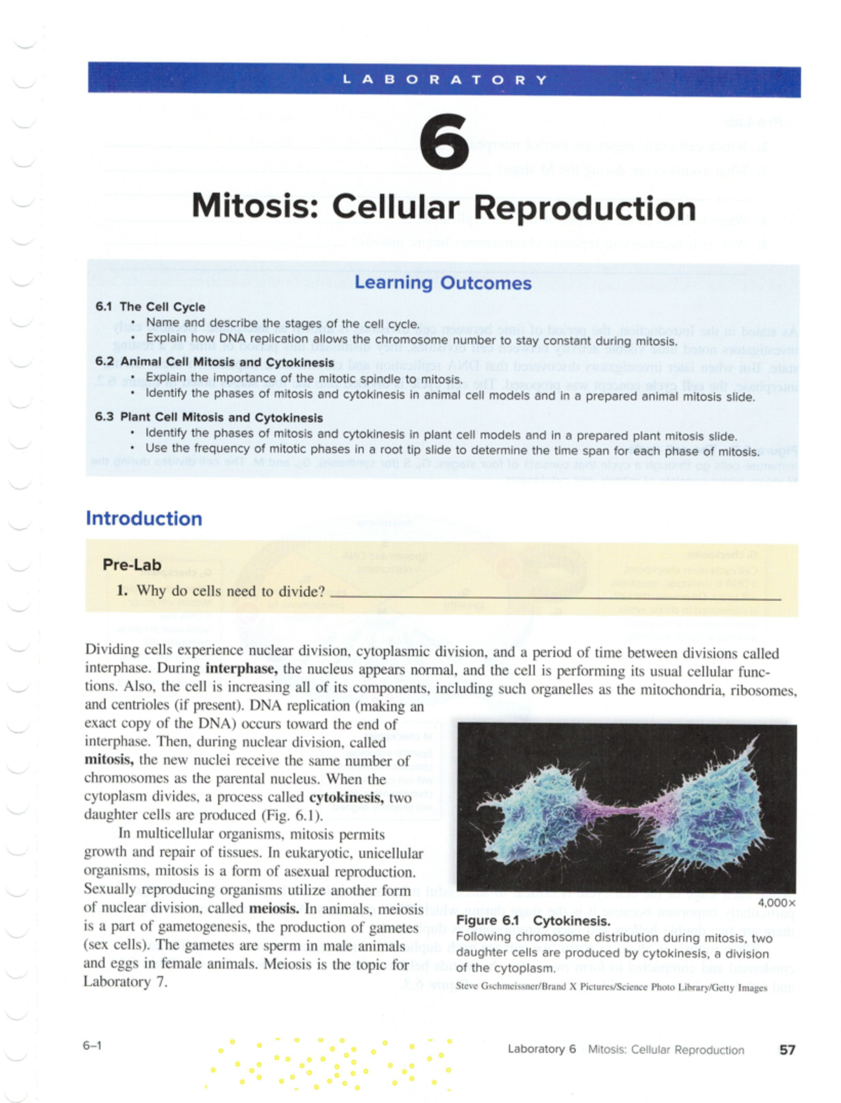Ch6 mitosis: cellar reproduction - BIOL-107 - Studocu