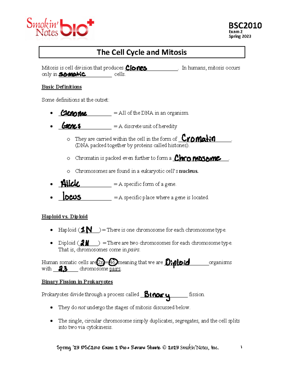 A BSC2010 Spring 23 Exam2 Bio Plus Mitosis Meiosis - Exam 2 Spring 2023 ...