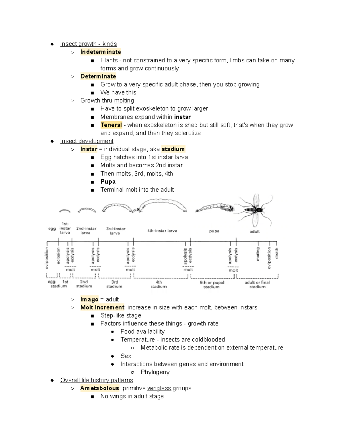 3 10 Insect growth development (instar, pupa, metabolous types ...