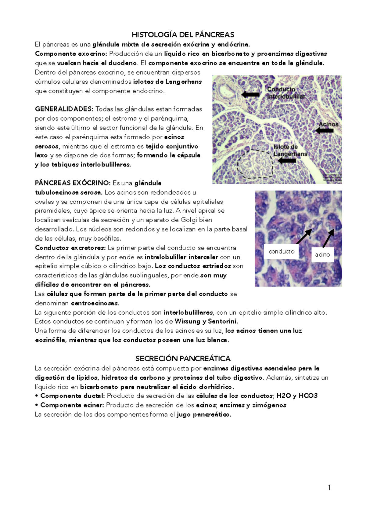 Histología del páncreas - HISTOLOGÍA DEL PÁNCREAS El páncreas es una ...