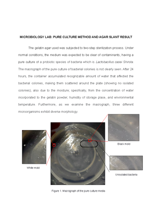 Business plan tal Final - BUSINESS PLAN PASTIL NI TALING University of ...