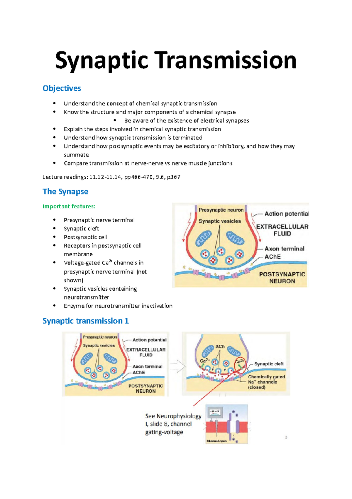 Lecture 19 - Synaptic Transmission - Synaptic Transmission Objectives Understand the concept of ...