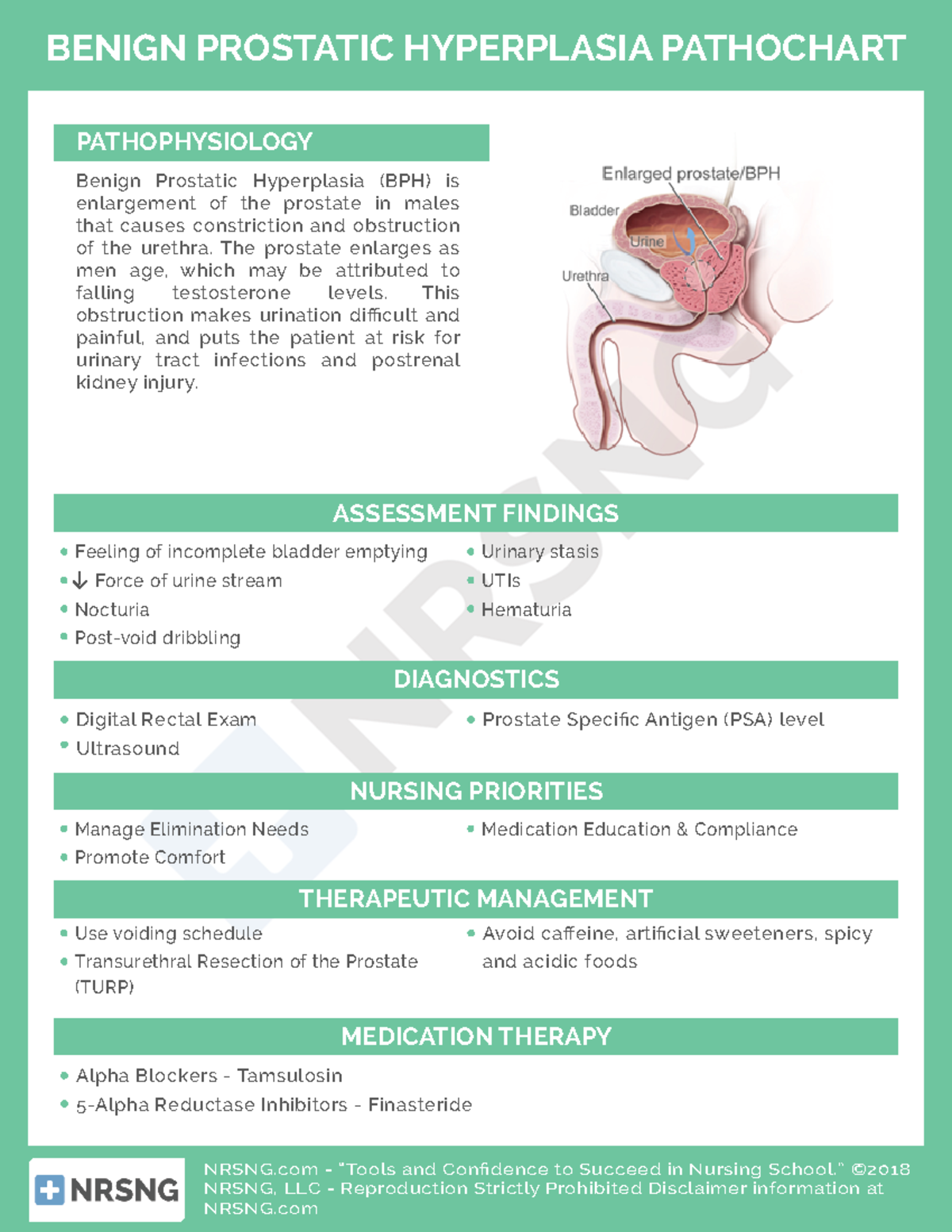 2- BPH Pathochart - n/a - NRSNG - “Tools and Con dence to Succeed in ...