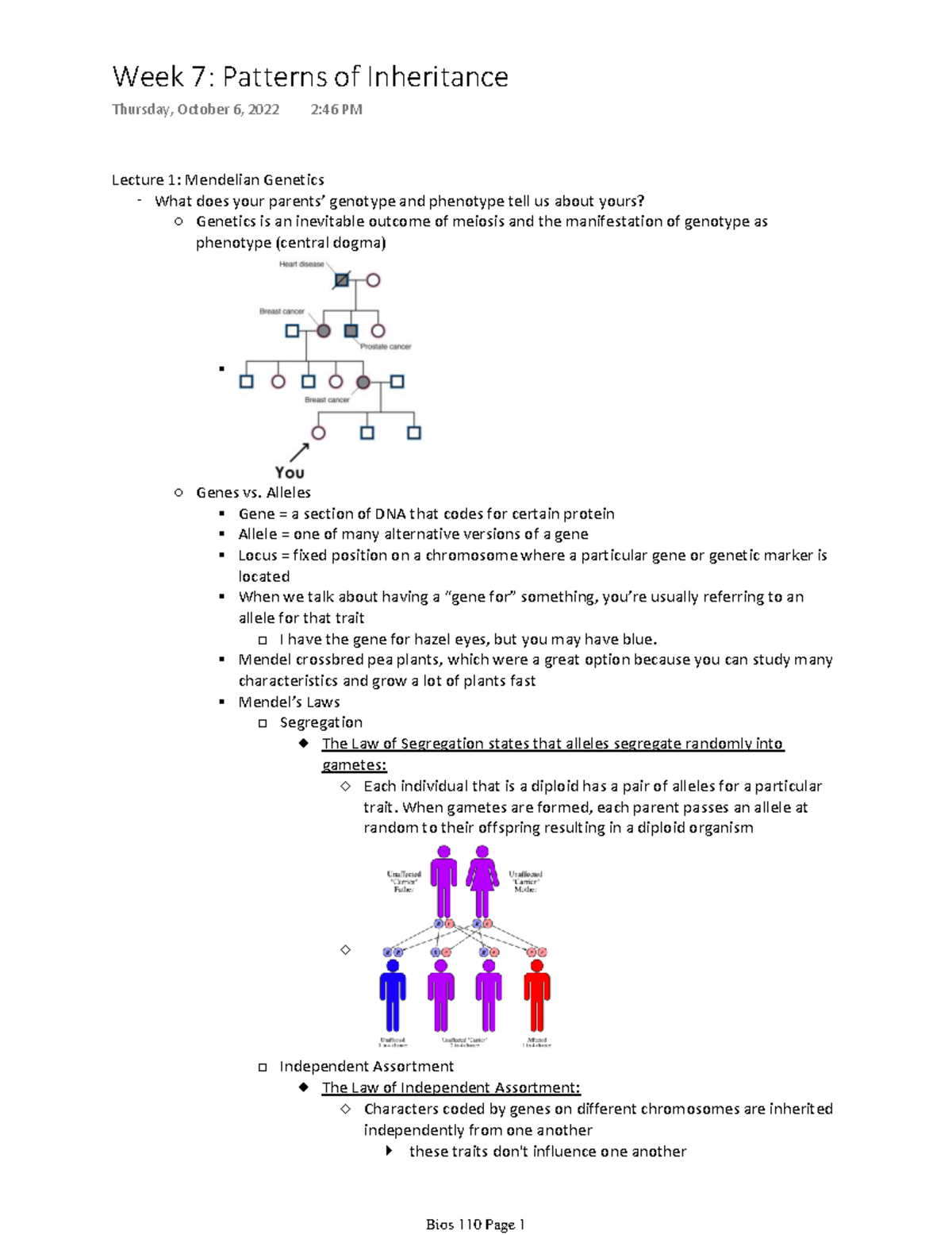 Bios 110 Week 7 Pt 1 Bios 110 Cells And Organism Notes Lecture 1 Mendelian Genetics What