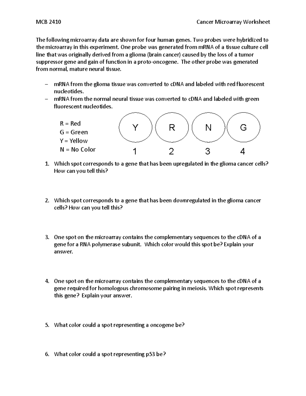 MCB2410 Cancer Microarray Worksheet - Two probes were hybridized to the ...