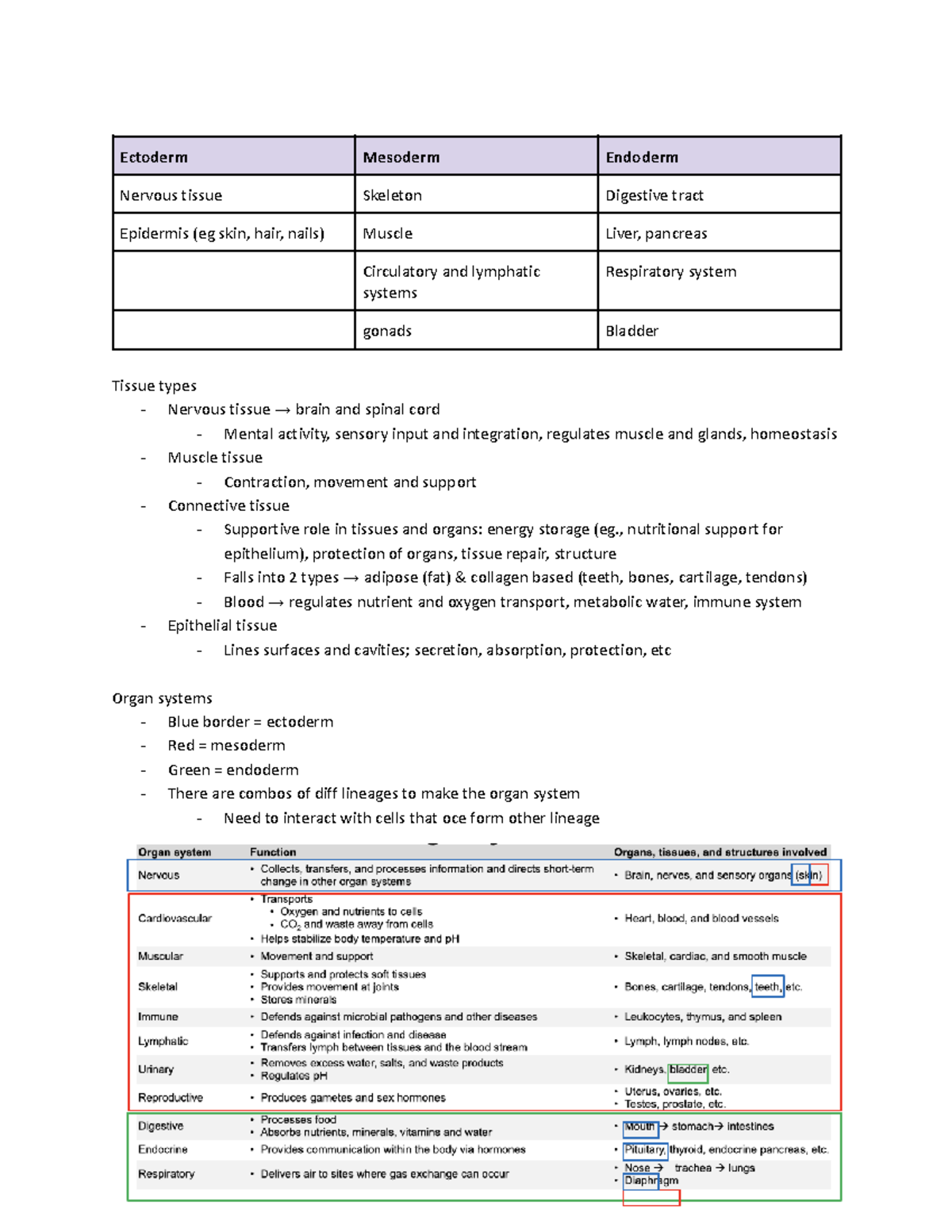 Lesson 3 - cell matrix interactions - Ectoderm Mesoderm Endoderm ...