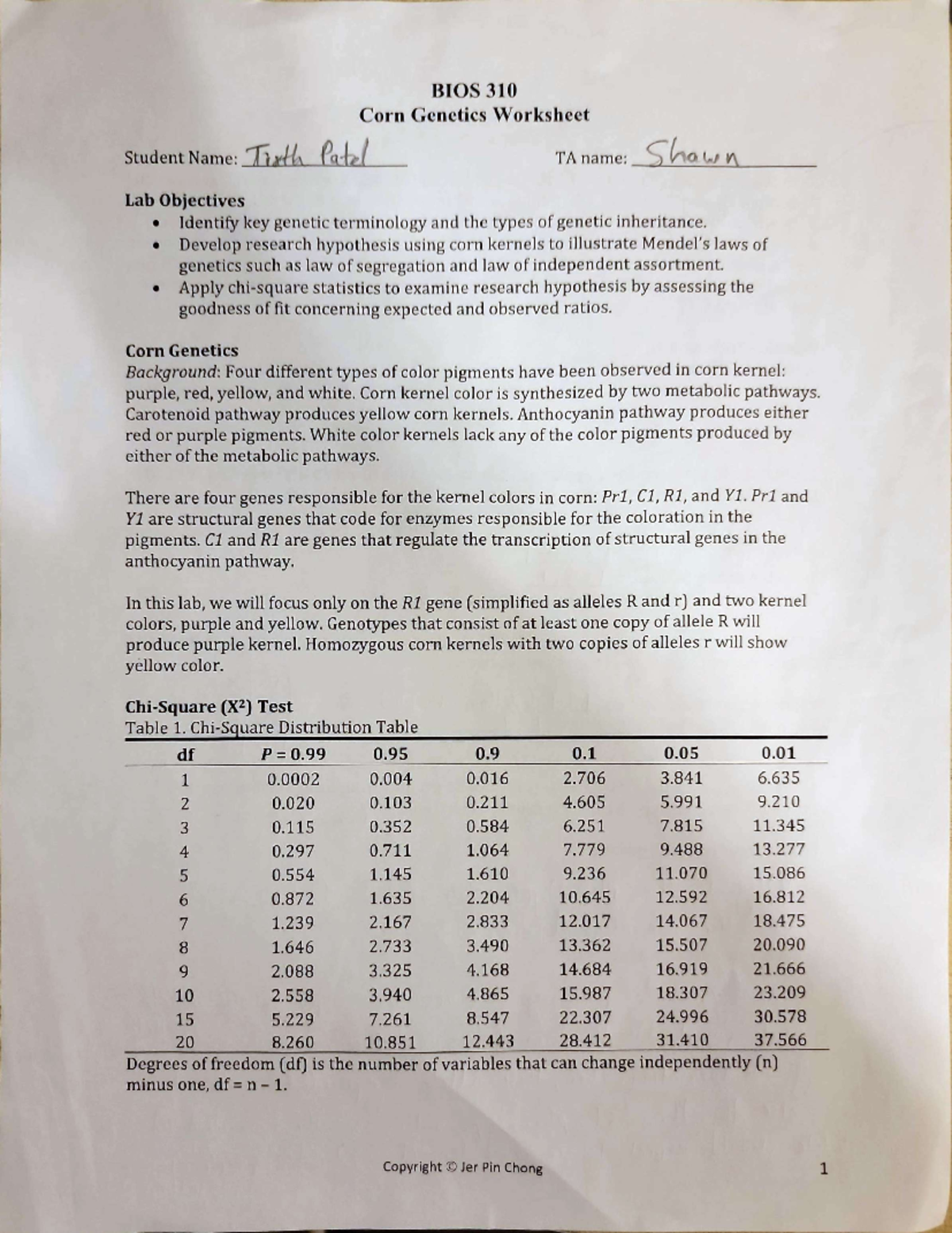 Corn genetics worksheet - BIOS 312 - Studocu