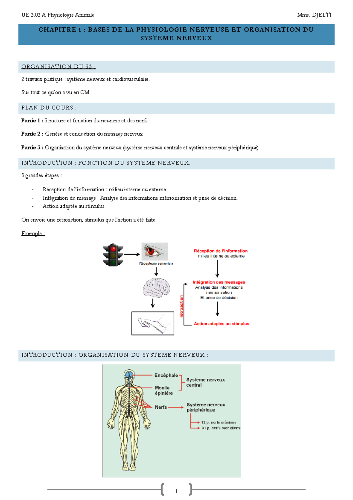 Chapitre 1 physiologie nerveuse - CHAPITRE 1 : BASES DE LA PHYSIOLOGIE NERVEUSE ET ORGANISATION ...